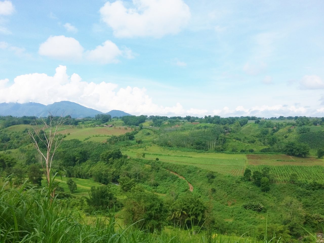 Travel to Bukidnon, Philippines - Exploring Life's Wonders